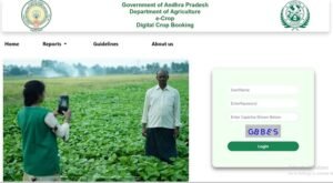 e Crop Payment Status Check Online at karshak.ap.gov.in By Survey and ...