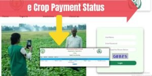 e Crop Payment Status Check Online at karshak.ap.gov.in By Survey and ...